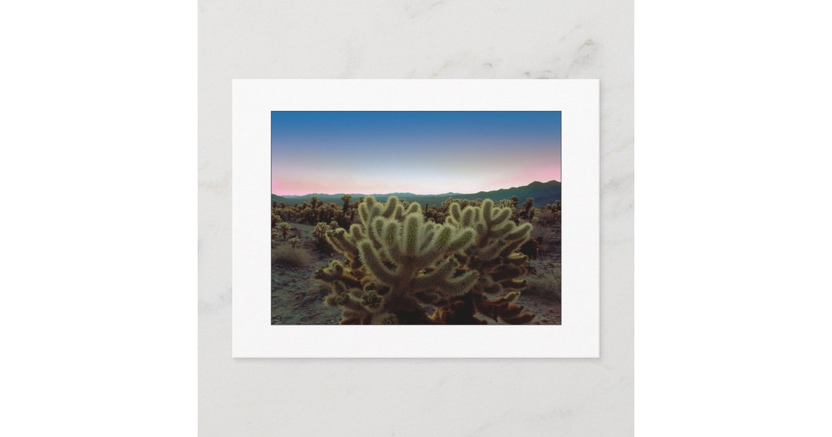 "A Pointy View" Postcard | Zazzle