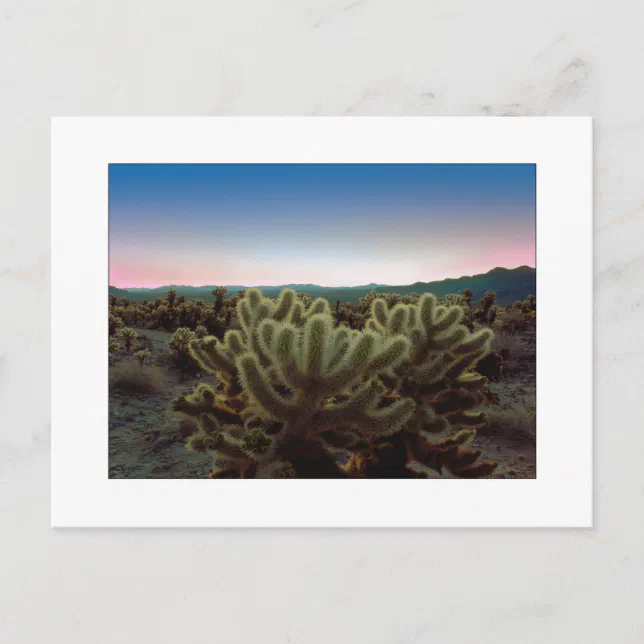 "A Pointy View" Postcard | Zazzle
