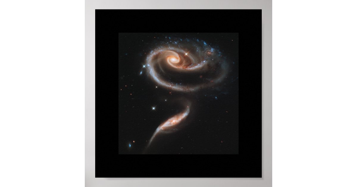 A Rose Made Of Galaxies - Hubble Space Telescope Poster | Zazzle