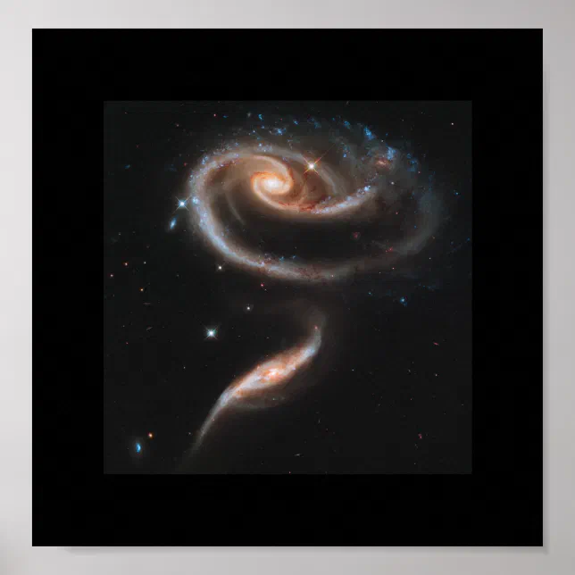 A Rose Made Of Galaxies - Hubble Space Telescope Poster | Zazzle