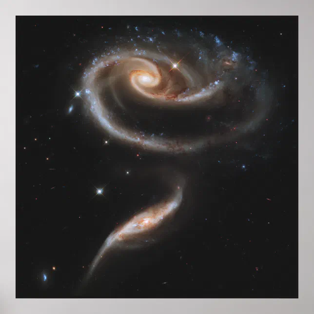 A Rose Made of Galaxies Poster | Zazzle