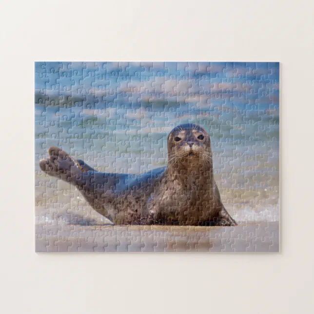 A seal on a beach along the Pacific Coast Jigsaw Puzzle | Zazzle