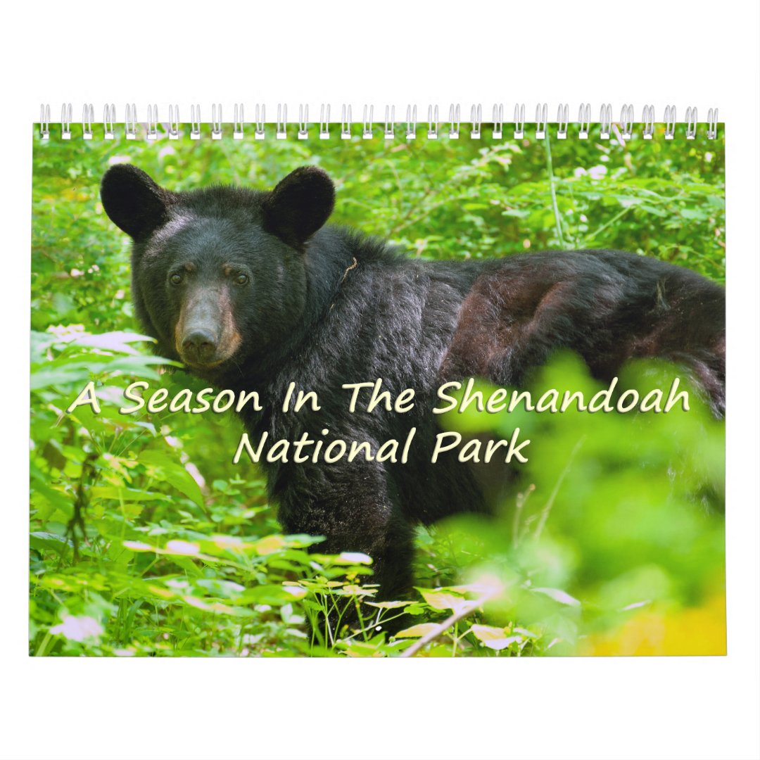 A Season In Shenandoah Nat. Park Vulture Version Calendar | Zazzle