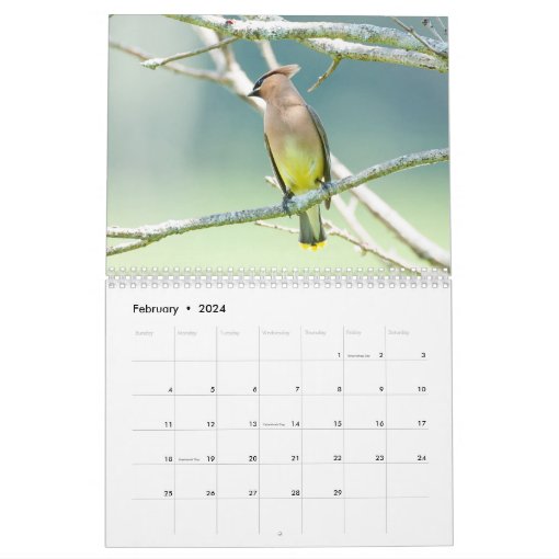 A Season In Shenandoah Nat. Park Vulture Version Calendar | Zazzle
