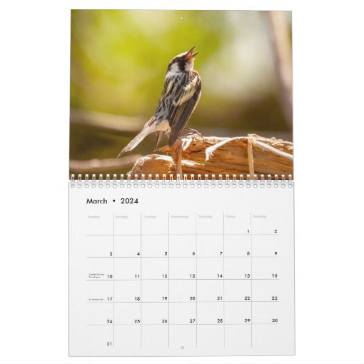 A Season In Shenandoah Nat. Park Vulture Version Calendar | Zazzle