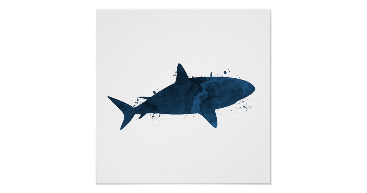 A shark poster | Zazzle
