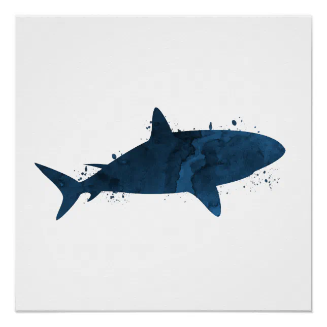 A shark poster | Zazzle
