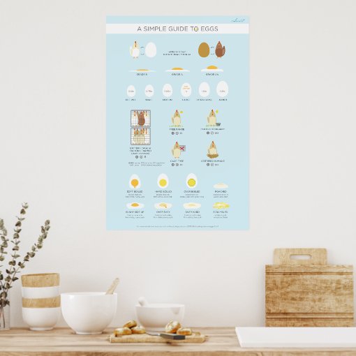 A simple (visual) guide to eggs poster | Zazzle