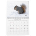 A Squirrel's Tale 2026 Wall Calendar | Zazzle