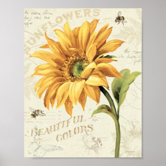 A Sunflower in Full Bloom Poster | Zazzle.com