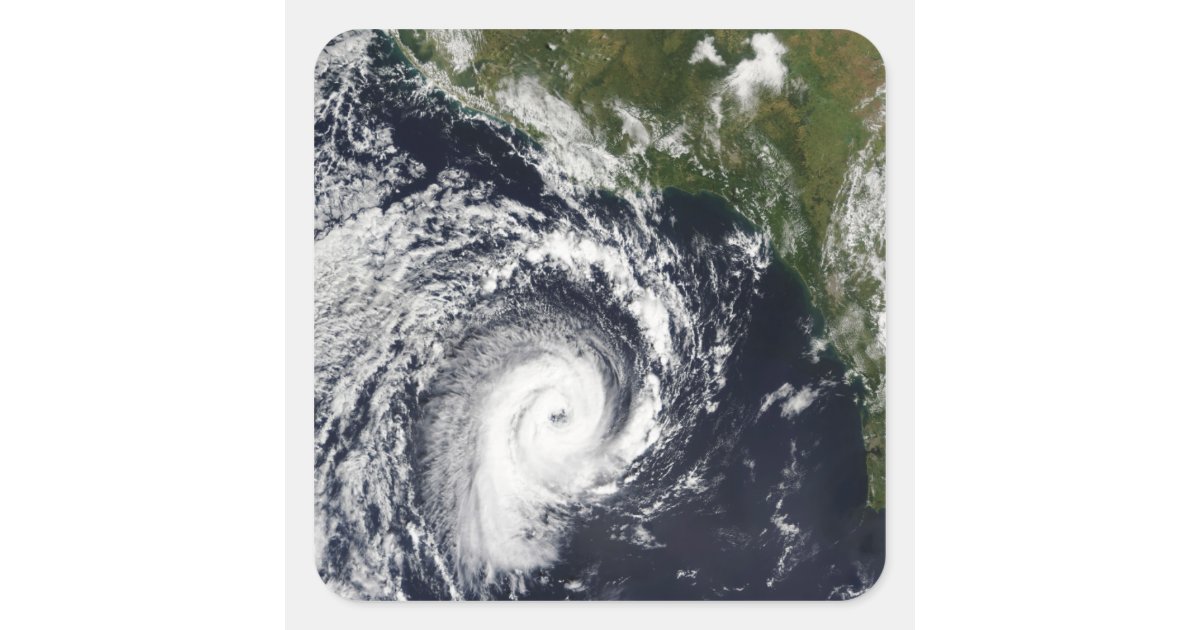 A tropical cyclone square sticker | Zazzle