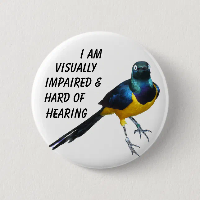 A visually impaired & hard of hearing info badge. pinback button | Zazzle