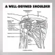 A Well-Defined Shoulder (Anatomical Humor) Poster | Zazzle