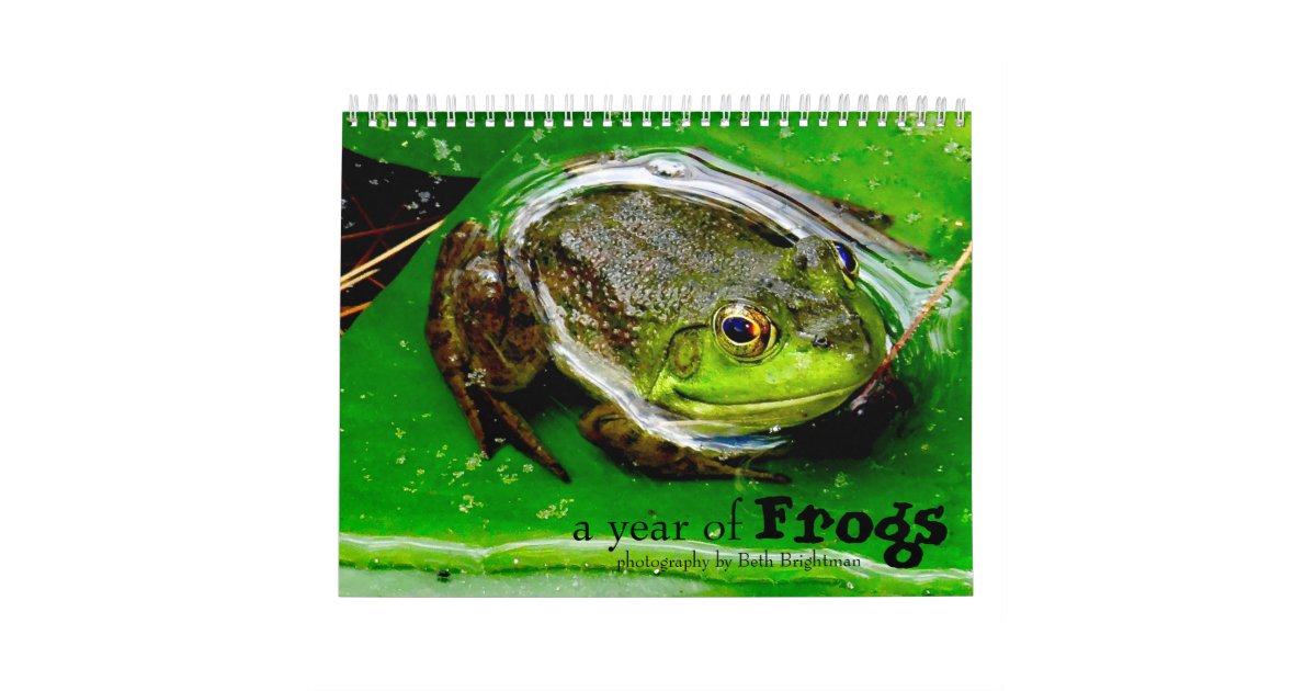 A Year of Frogs Calendar | Zazzle.com