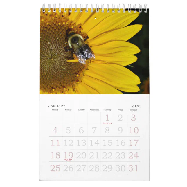 A Year of Sunflowers 2013 Calendar | Zazzle