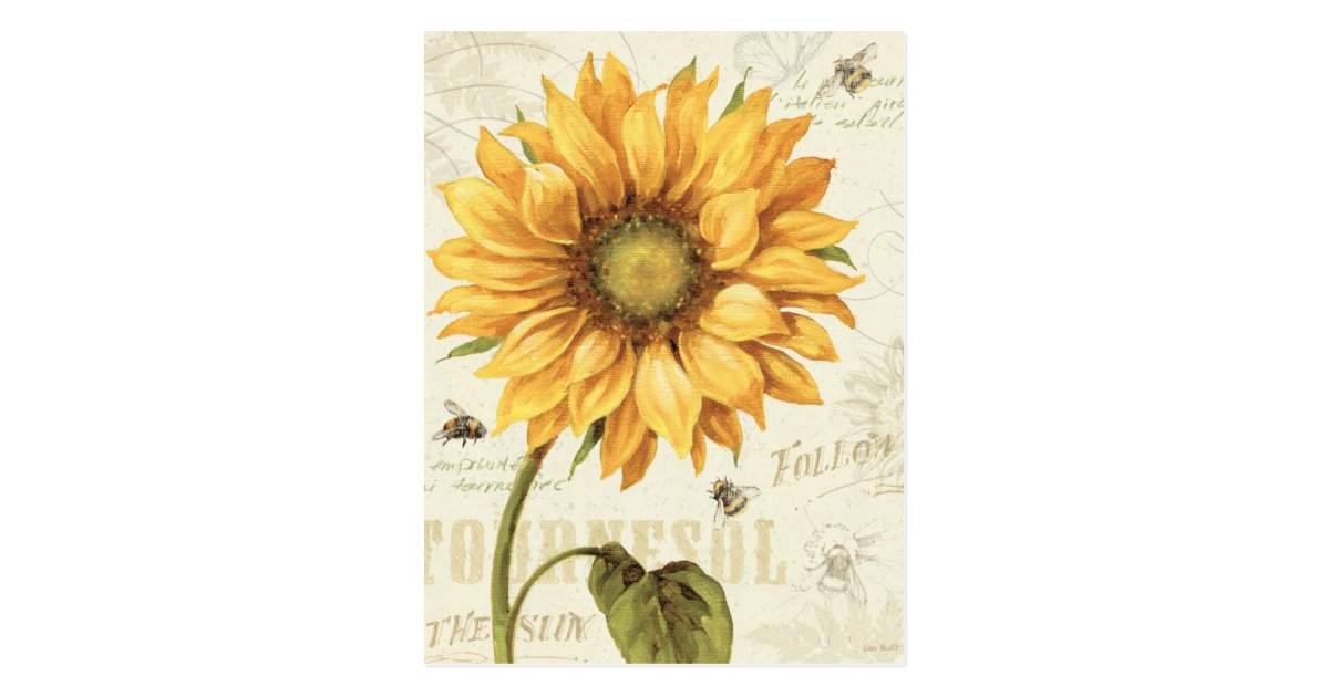 A Yellow Sunflower Postcard | Zazzle.com