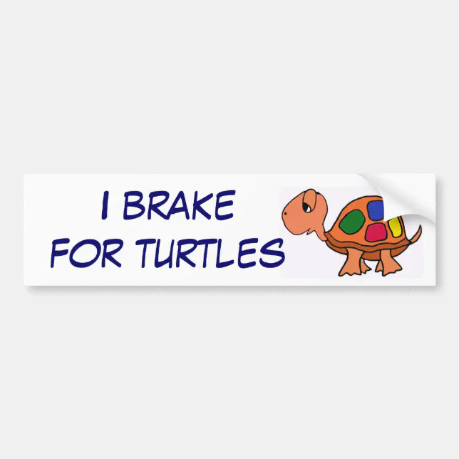AA- I brake for turtles bumper sticker | Zazzle