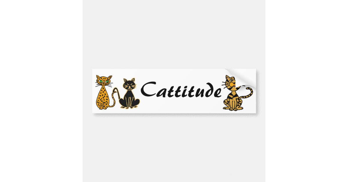 AB- Funny Cats Cattitude Bumper Sticker | Zazzle