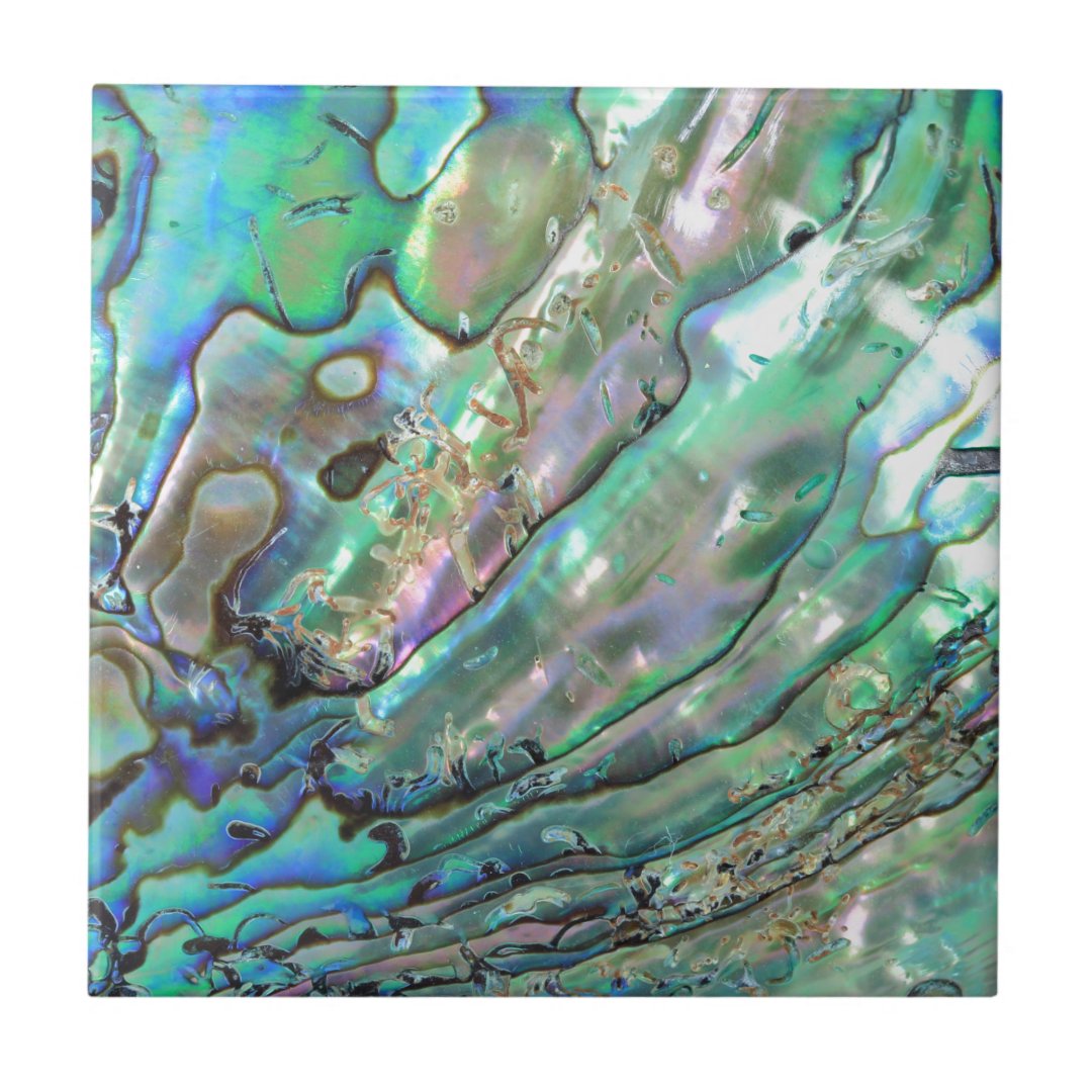 Abalone Ceramic Tile | Zazzle