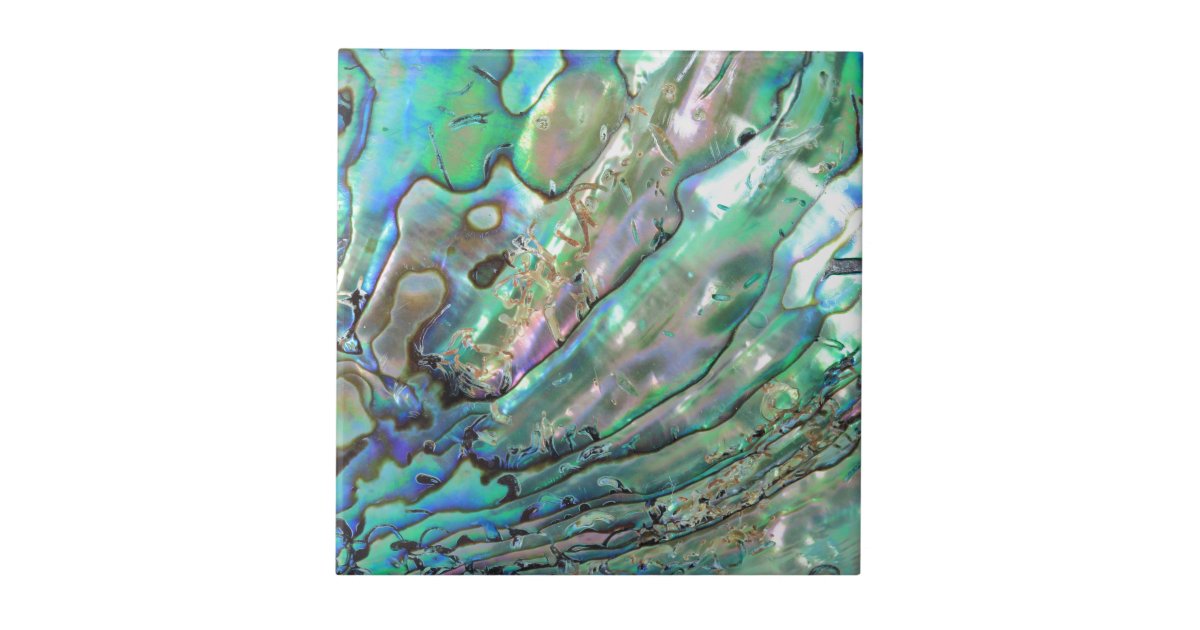 Abalone Ceramic Tile | Zazzle