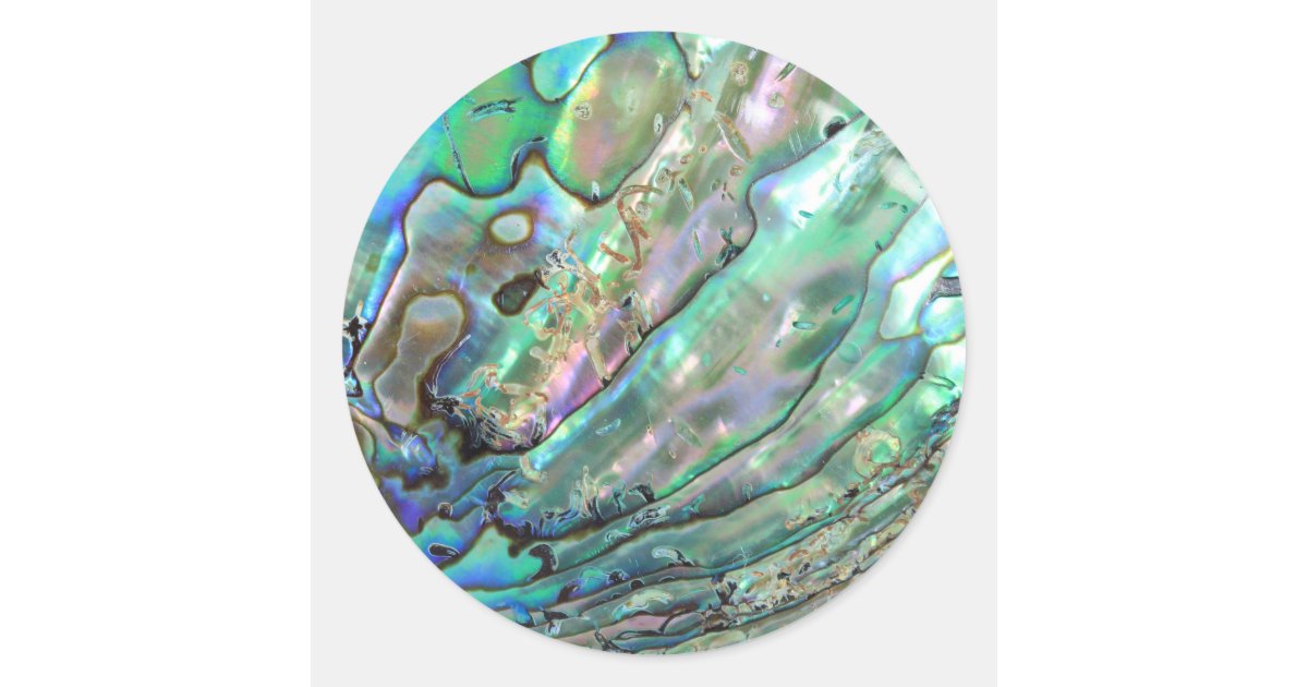 Abalone Classic Round Sticker | Zazzle