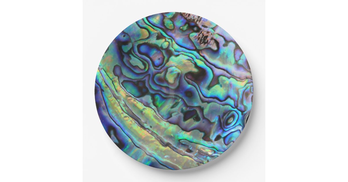 Abalone paua seashell paper plates | Zazzle