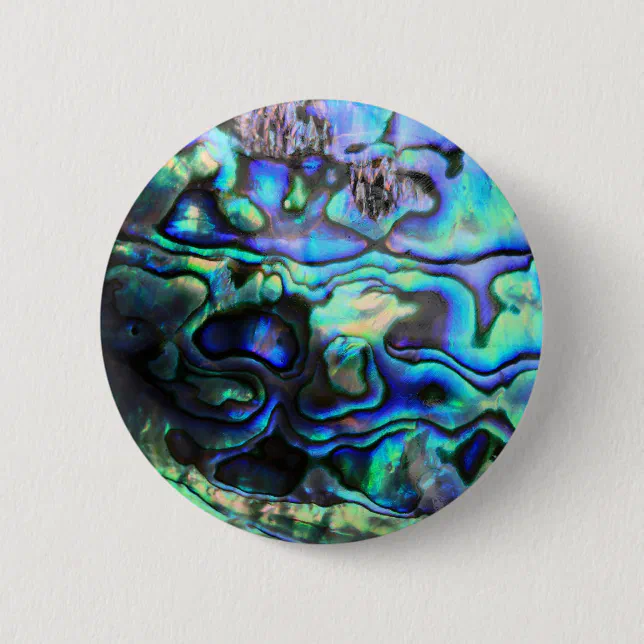 Abalone paua shell button | Zazzle