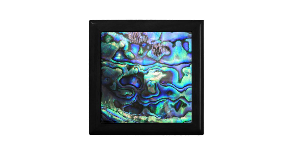 Abalone paua shell gift box | Zazzle