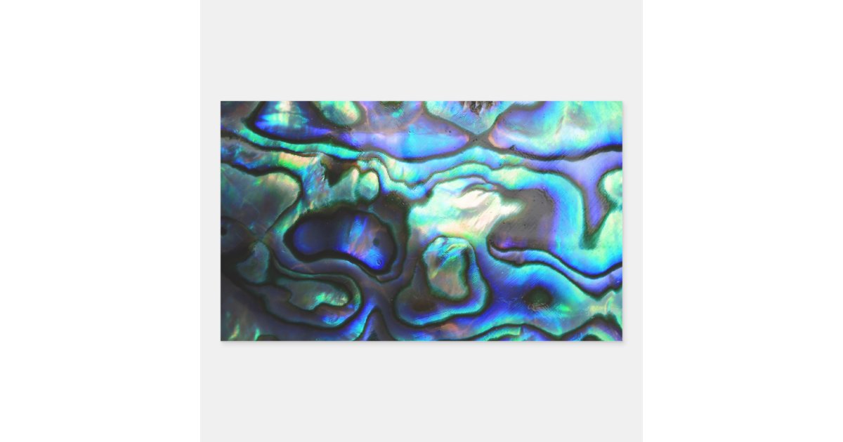Abalone paua shell rectangular sticker | Zazzle