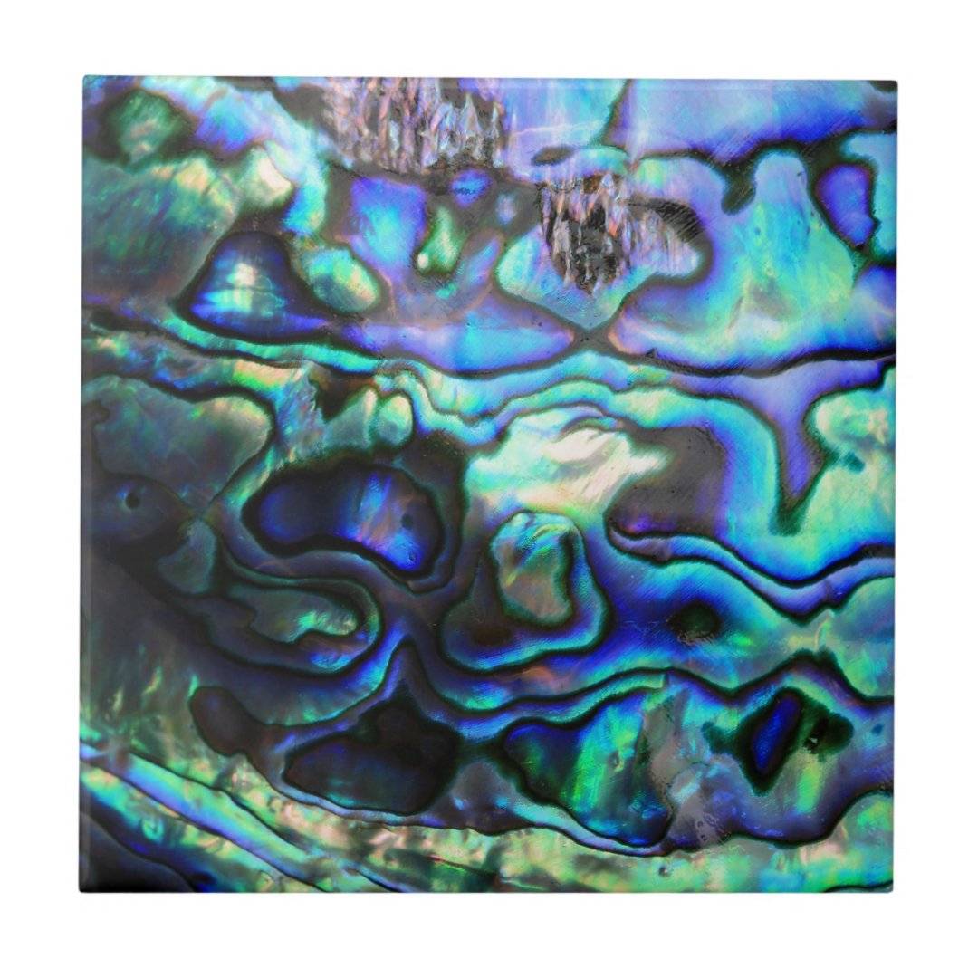 Abalone paua shell tile | Zazzle