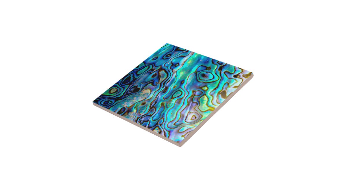 Abalone shell ceramic tile | Zazzle