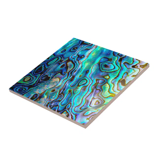 Abalone shell ceramic tile | Zazzle