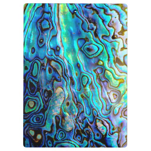 Abalone shell clipboard | Zazzle
