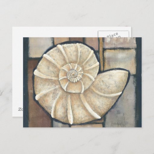 Abalone Shell Postcard | Zazzle