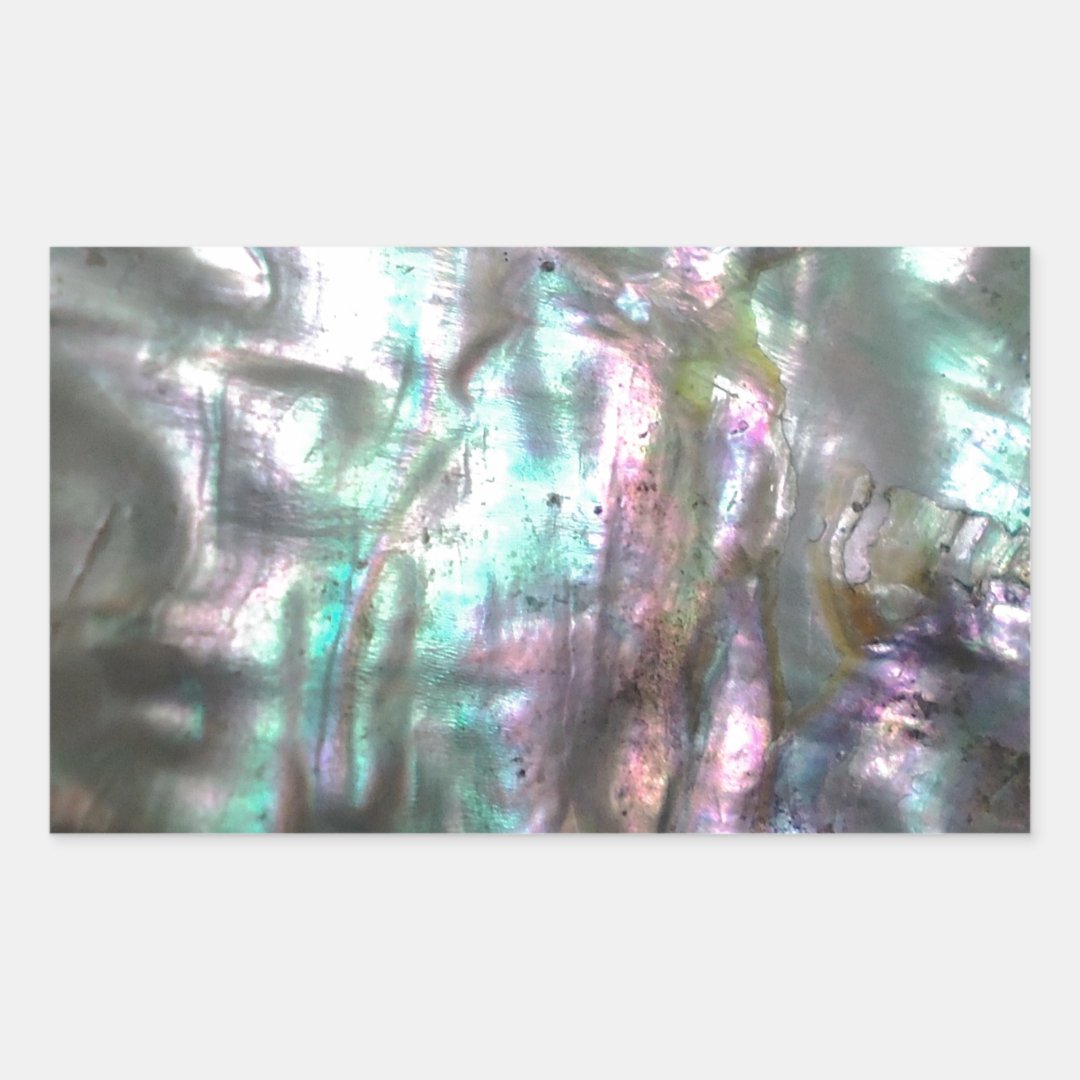 Abalone Shell Rectangular Sticker | Zazzle