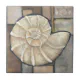 Abalone Shell Tile | Zazzle