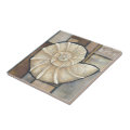 Abalone Shell Tile | Zazzle