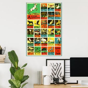 Abc Alphabet animal poster - Teaching Aid Chart | Zazzle