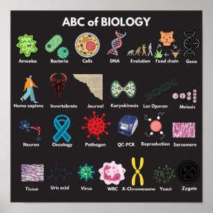 Biology Classroom Posters