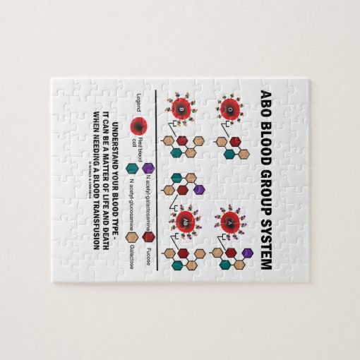 ABO Blood Group System Understand Blood Type Jigsaw Puzzle | Zazzle