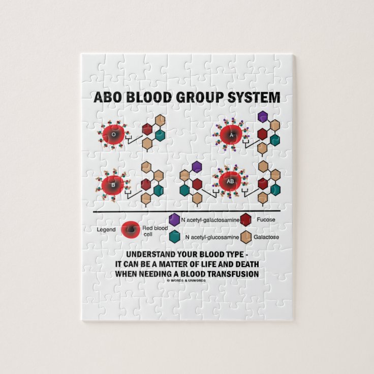 ABO Blood Group System Understand Blood Type Jigsaw Puzzle | Zazzle