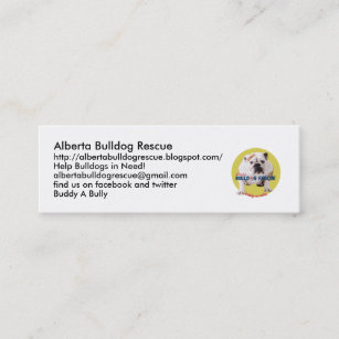 Ambassador Business Cards - Business Card Printing | Zazzle
