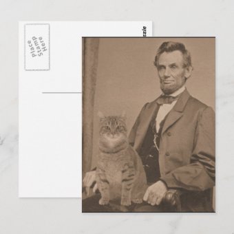 Abraham Lincoln and his cat "Gloria" Postcard | Zazzle