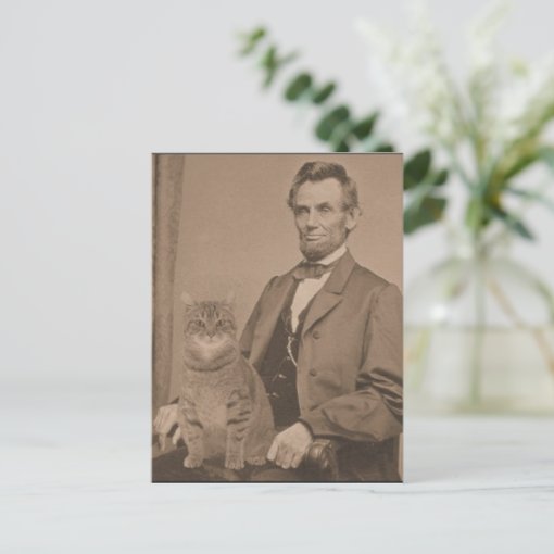 Abraham Lincoln and his cat "Gloria" Postcard | Zazzle