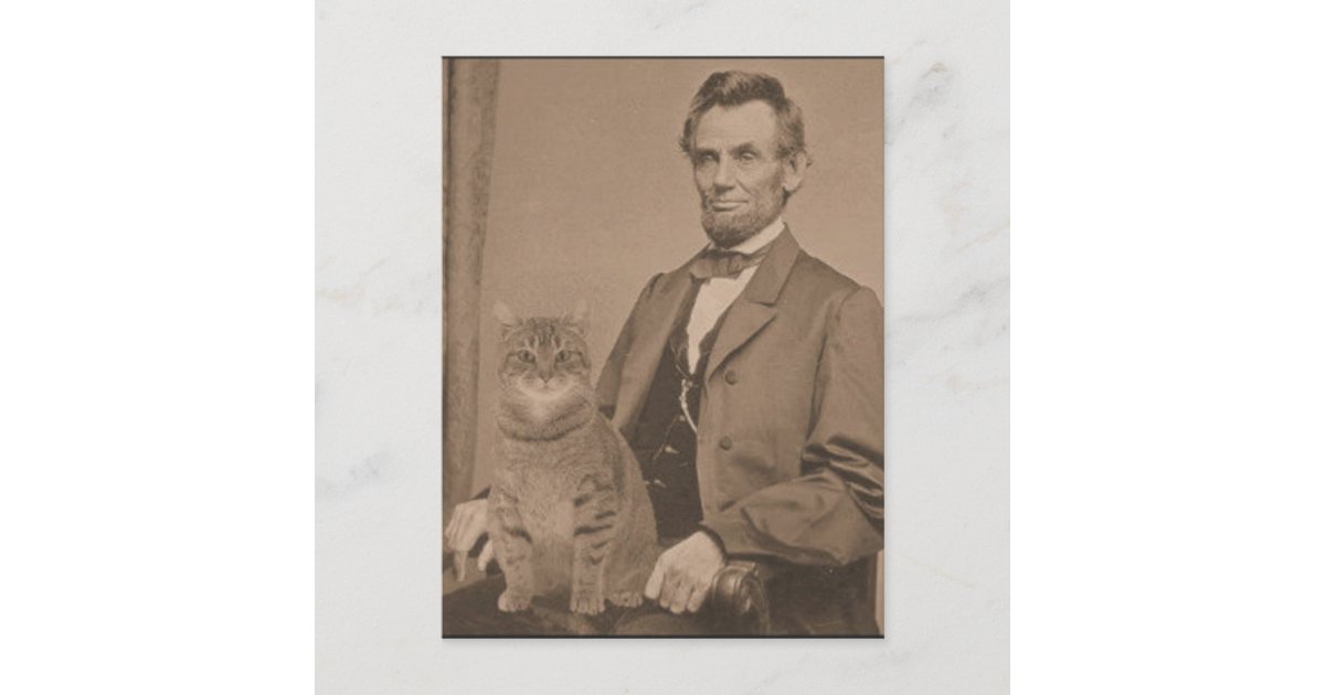 Abraham Lincoln and his cat "Gloria" Postcard | Zazzle