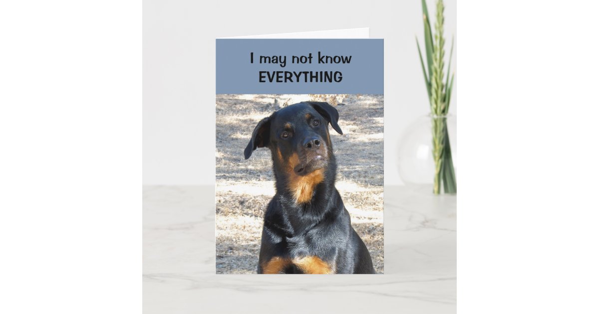 Absolutely Sure Rottweiler Valentine's Day Card | Zazzle