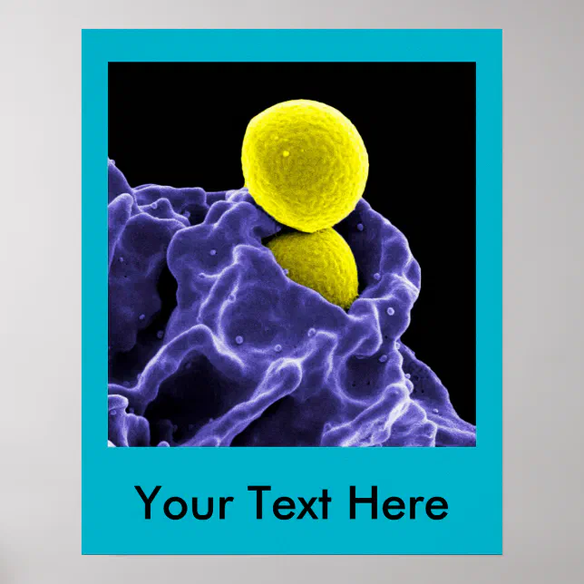 abstract microbiology art custom poster canvas | Zazzle