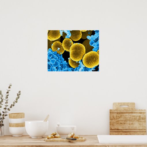 abstract microbiology art custom poster canvas | Zazzle