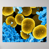 abstract microbiology art custom poster canvas | Zazzle