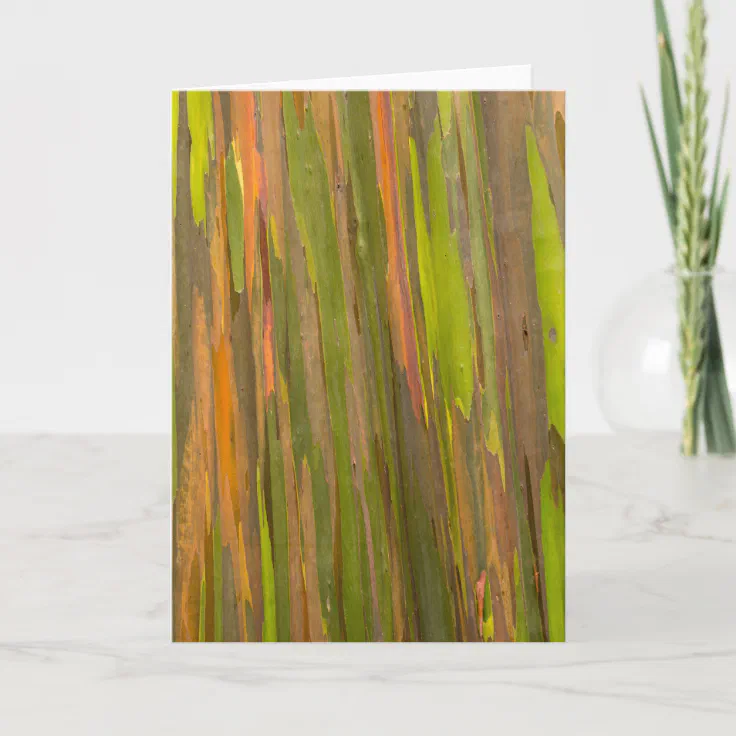 Abstract Of Eucalyptus Bark Card | Zazzle